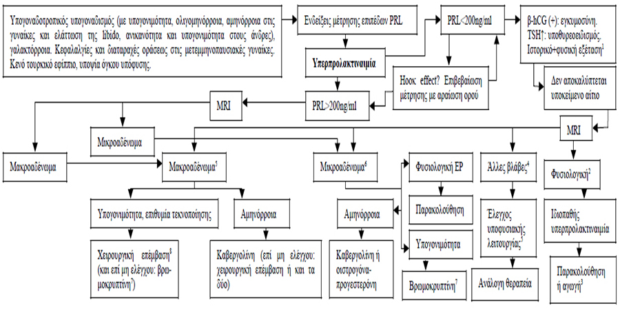 Διαγνωστικός αλγόριθμος υπερπρολακτιναιμίας - Δημήτριος Θωμάς