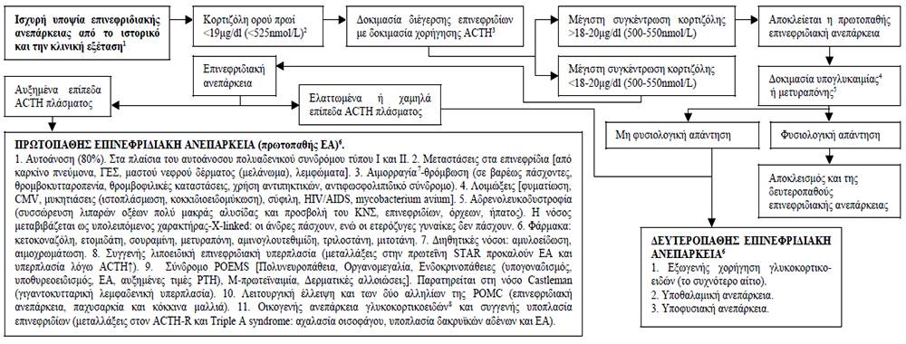 Διαγνωστικός αλγόριθμος επινεφριδιακής ανεπάρκειας - Δημήτριος Θωμάς